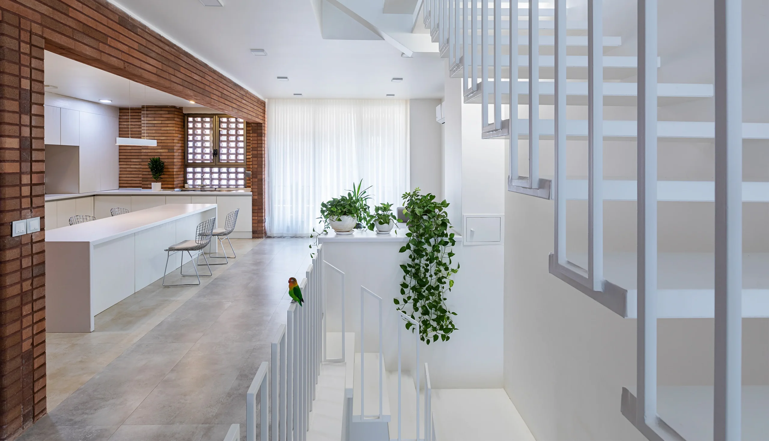 THE ALLEY HOUSE - ASHRAFI & ZAD DESIGN